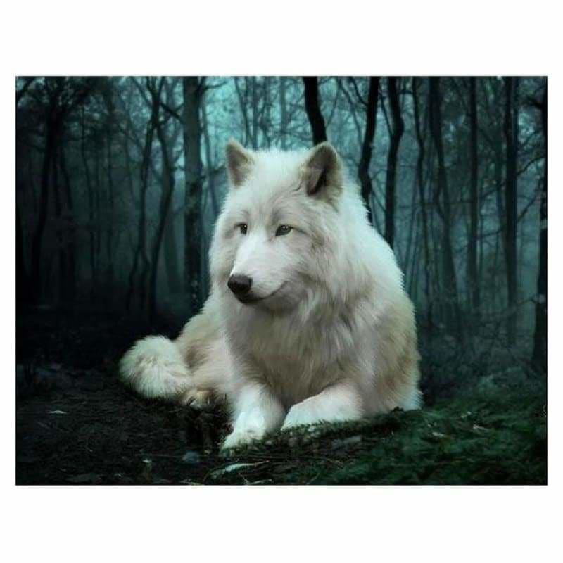 Full Drill - 5D DIY Diamond Painting Kits Special White Wolf in the Da ...