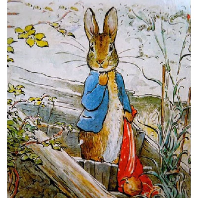 Peter Rabbit – Australia Diamond Painting